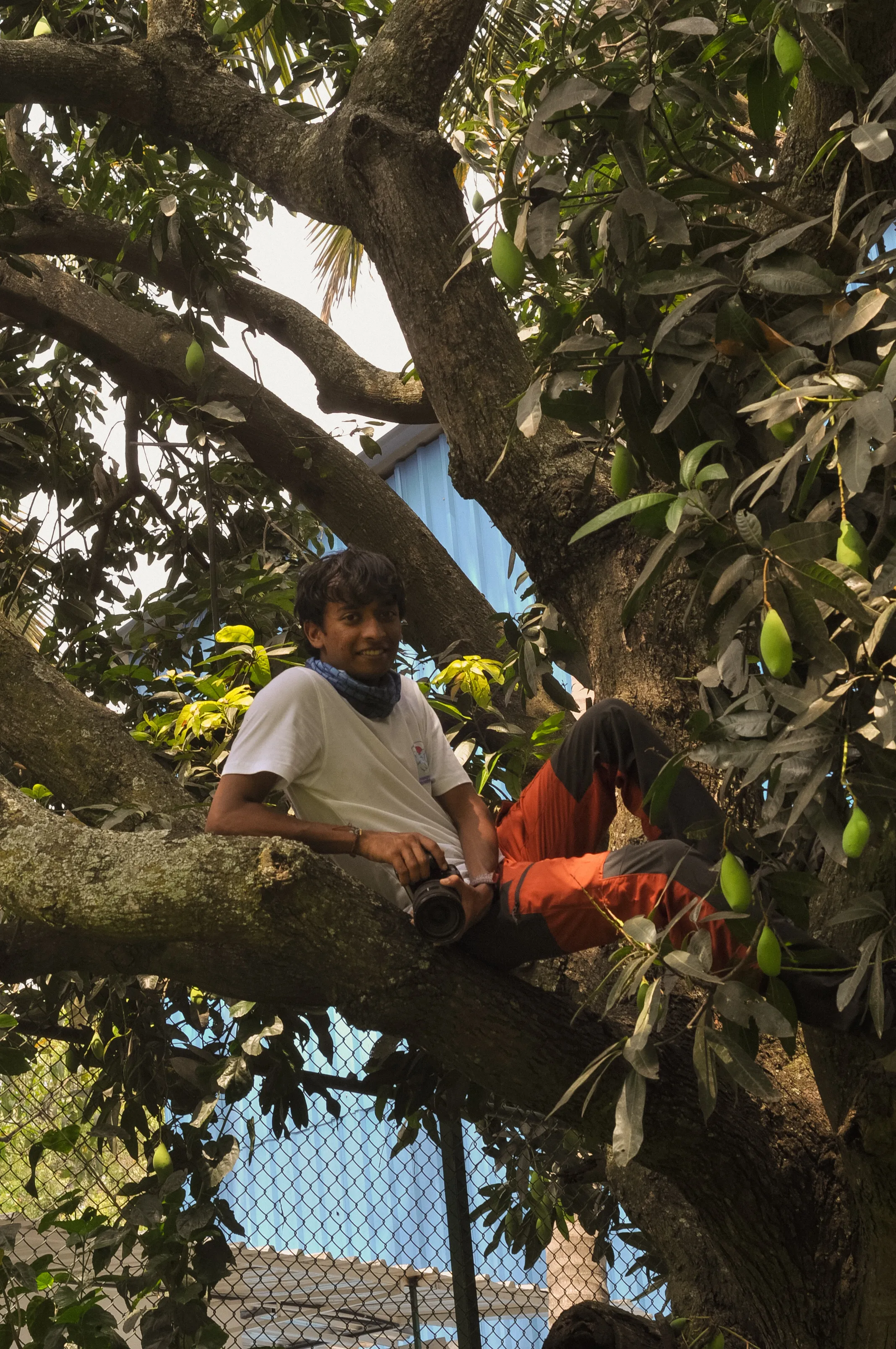 Advay Inabathini | Portfolio